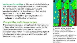 Biological interactions | PPTX