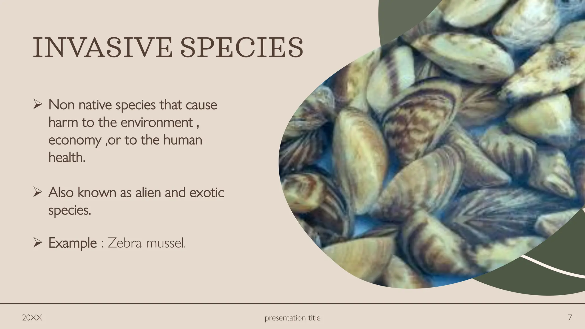 Biological Invasion by; Sania shandil | PDF