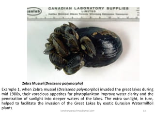 Biological invasions theories and hypothesis.pdf