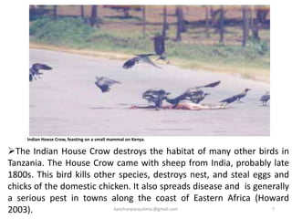 Biological invasions theories and hypothesis.pdf