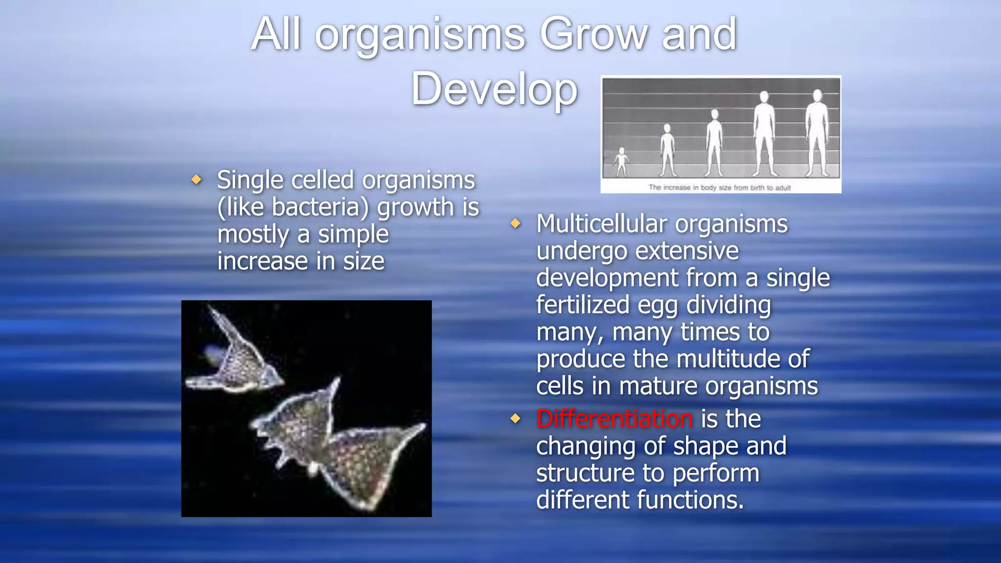Biological levels of organization for Grade 7 | PPTX