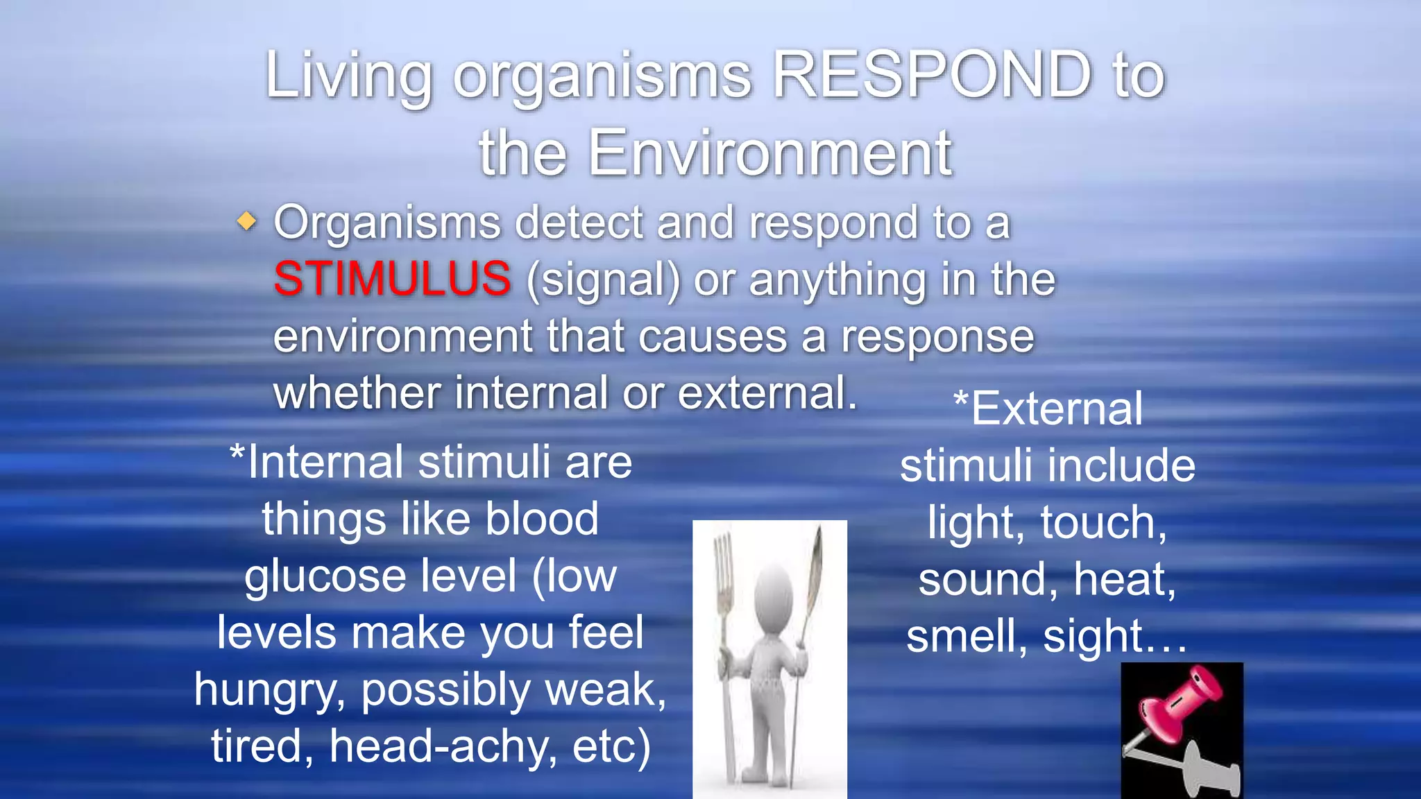 Biological levels of organization for Grade 7 | PPTX