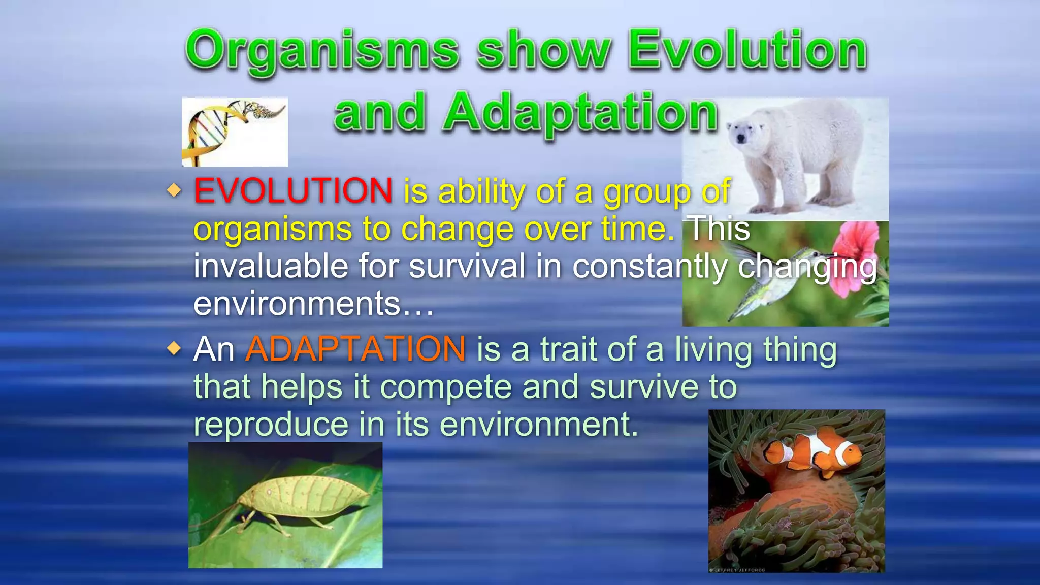 Biological levels of organization for Grade 7 | PPTX