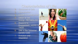 Biological levels of organization for Grade 7 | PPTX