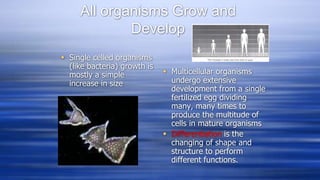 Biological levels of organization for Grade 7 | PPTX