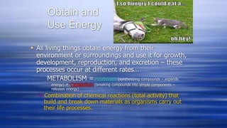 Biological levels of organization for Grade 7 | PPTX