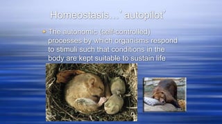 Biological levels of organization for Grade 7 | PPTX