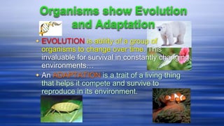 Biological levels of organization for Grade 7 | PPTX