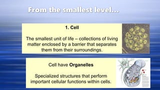 Biological levels of organization for Grade 7 | PPTX