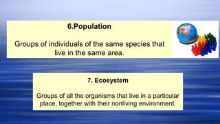 Biological levels of organization for Grade 7 | PPTX