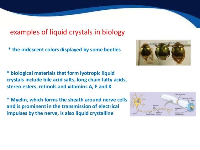 Biological liquid crystals