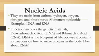 BIOLOGICAL MACROMOLECULARS.pptx