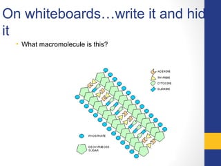 Lipids Macromolecule
