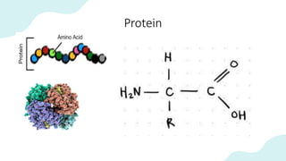 BIOLOGICALMACROMOLECULES.pptx