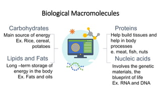 BIOLOGICALMACROMOLECULES.pptx