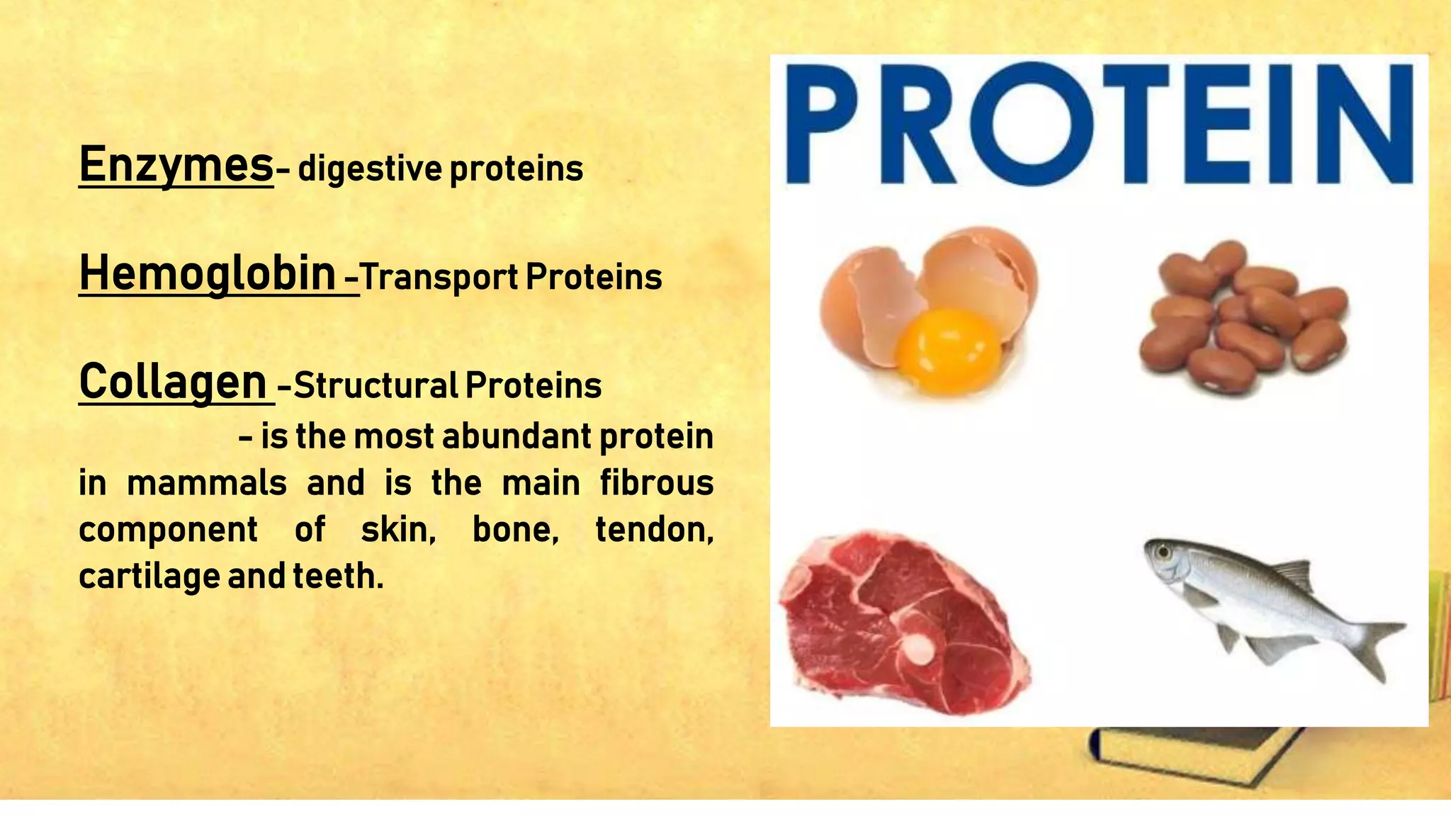 BIOLOGICAL MACROMOLECULES.pptx