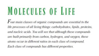 Biological Macromolecules.pptx