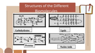 Biological Macromolecules Lesson quarter one | PPTX