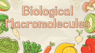 Biological Macromolecules physical science | PDF