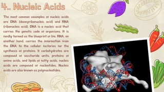 Biological Macromolecules physical science | PPT