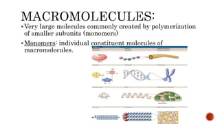 Biological Macromolecules