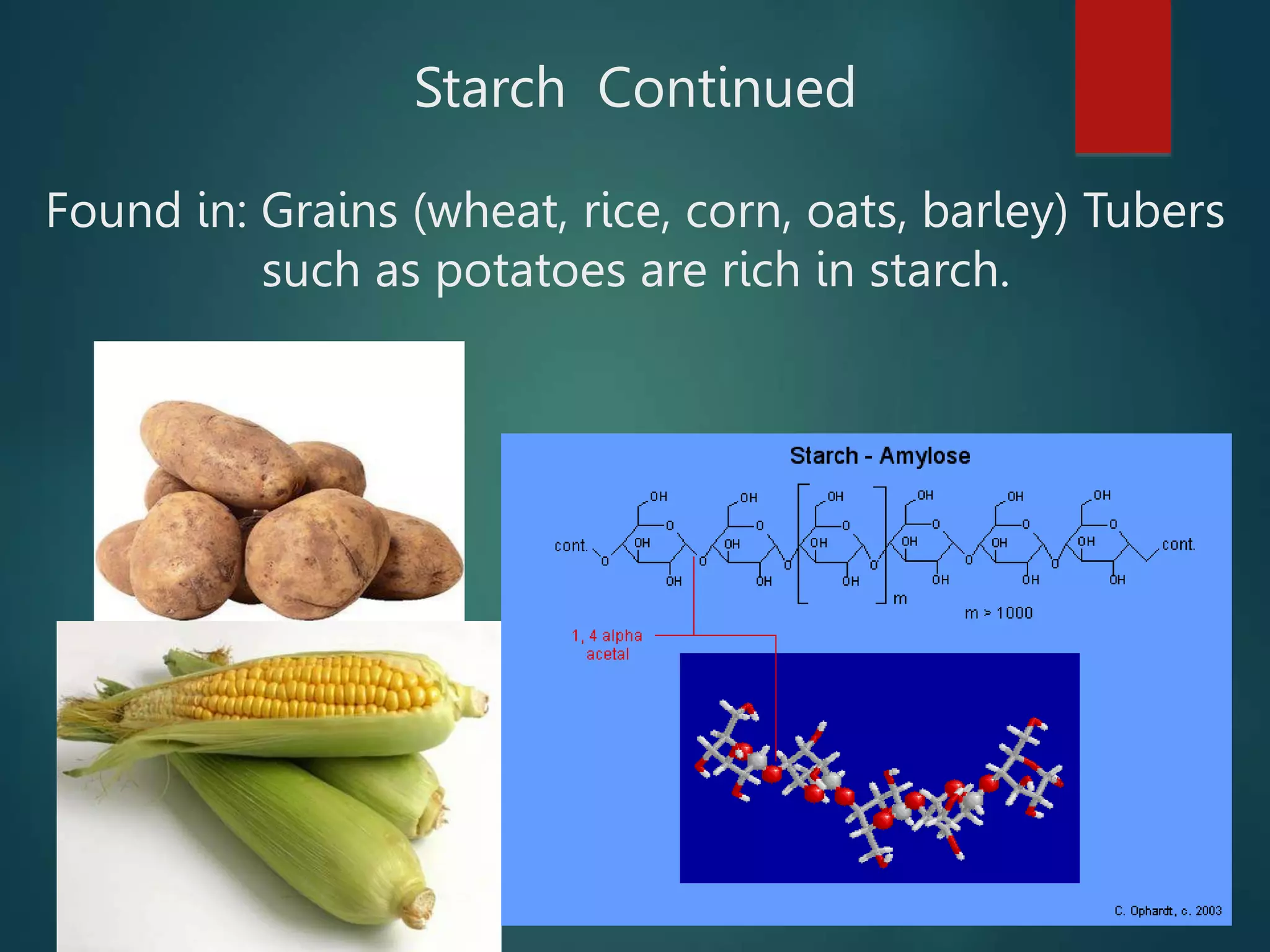 Biological Macromolecules 2015.ppt