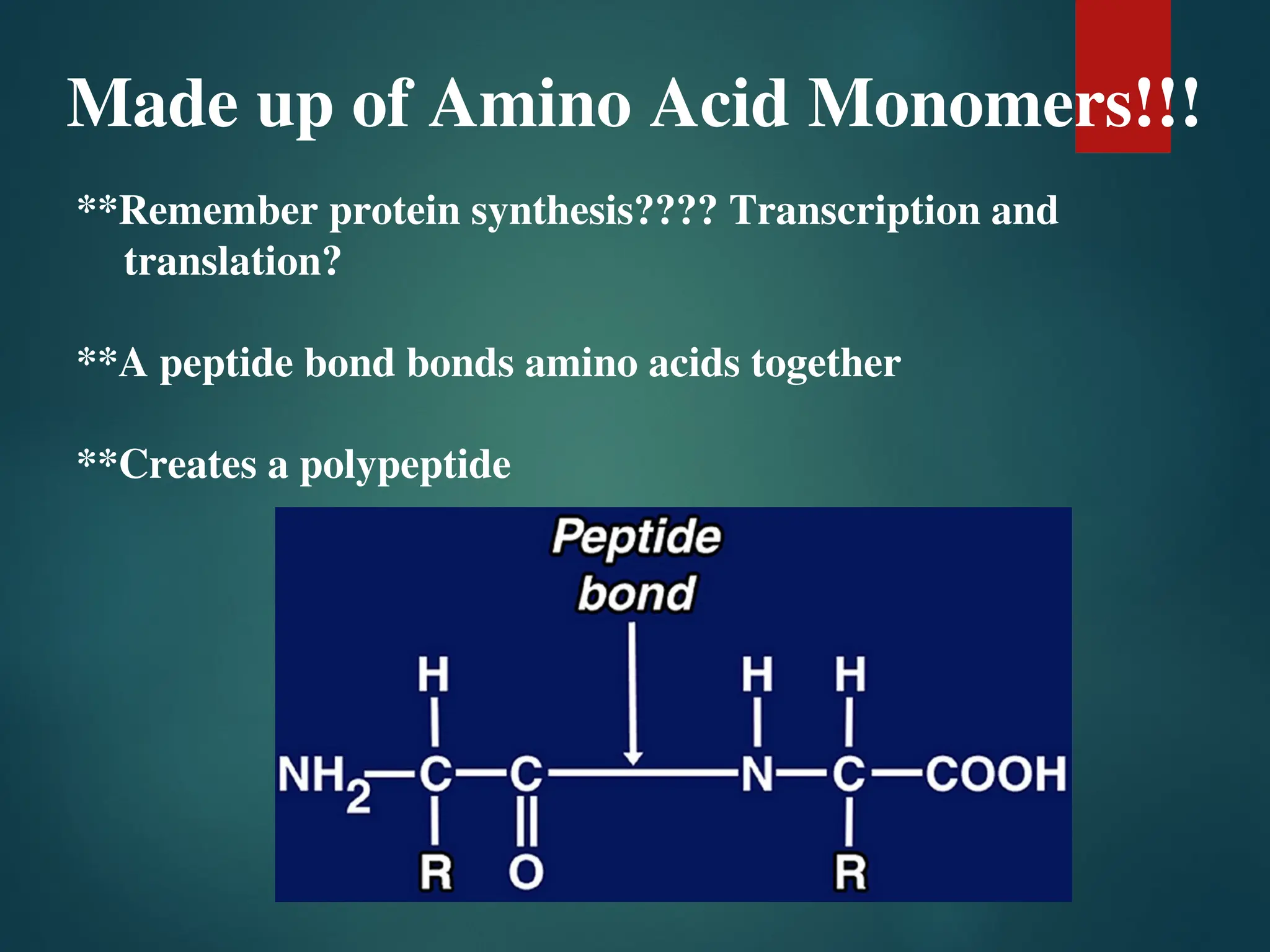 Biological Macromolecules in general biology | PPT