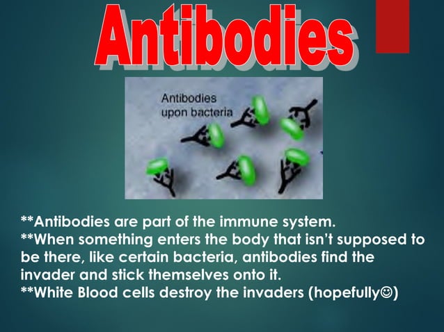 Biological Macromolecules in general biology | PPT