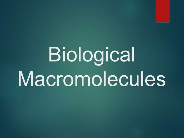 Biological Macromolecules 2015 (1).ppt