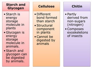 BiologicalMacromolecules_FZD.pptx | Chemistry | Science