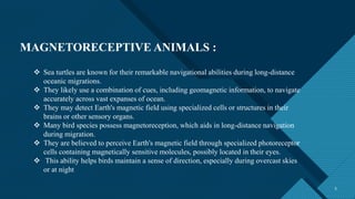 BIOLOGICAL MAGNETS.pptxhhhyuuhhhhhhhhhhhhhvvvvv | PPTX