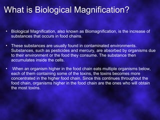 BiologicalMagnification. .ppt