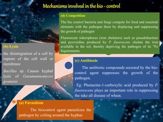 Biological management for bacterial diseases.pptx