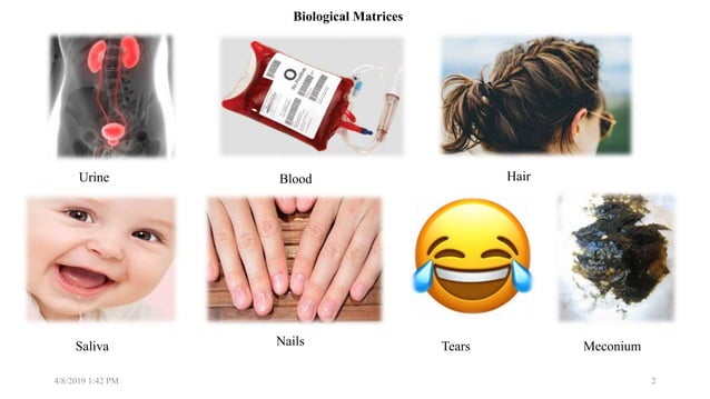 Analysis of drugs in biological matrix | PPTX