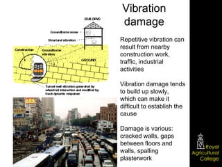 Biological mechanical defects | PPTX | Woodworking | Arts and Crafts