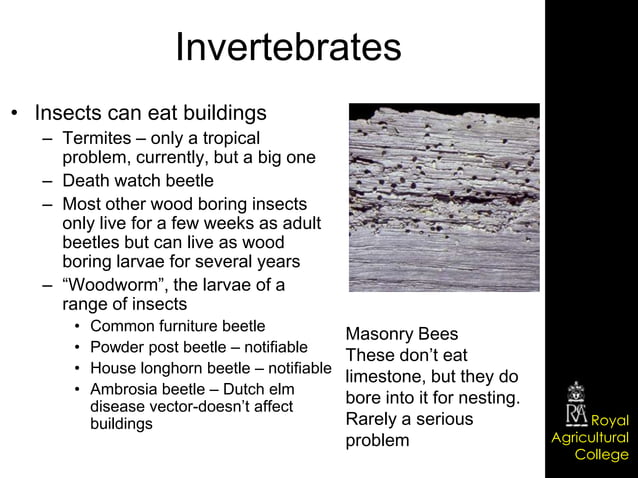Biological mechanical defects | PPT