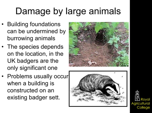 Biological mechanical defects | PPT