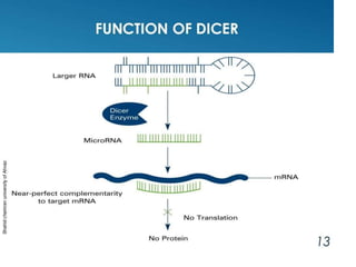 Biological Medicine - gene therapy, rna interference.pptx