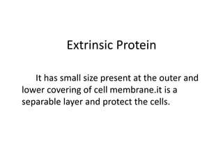 BIOLOGICAL MEMBRANE, Characteristics of BIOLOGICAL MEMBRANE.pptx