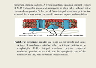 Biological membrane | PPTX