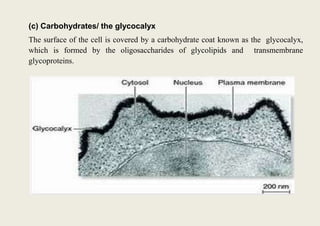 Biological membrane | PPTX