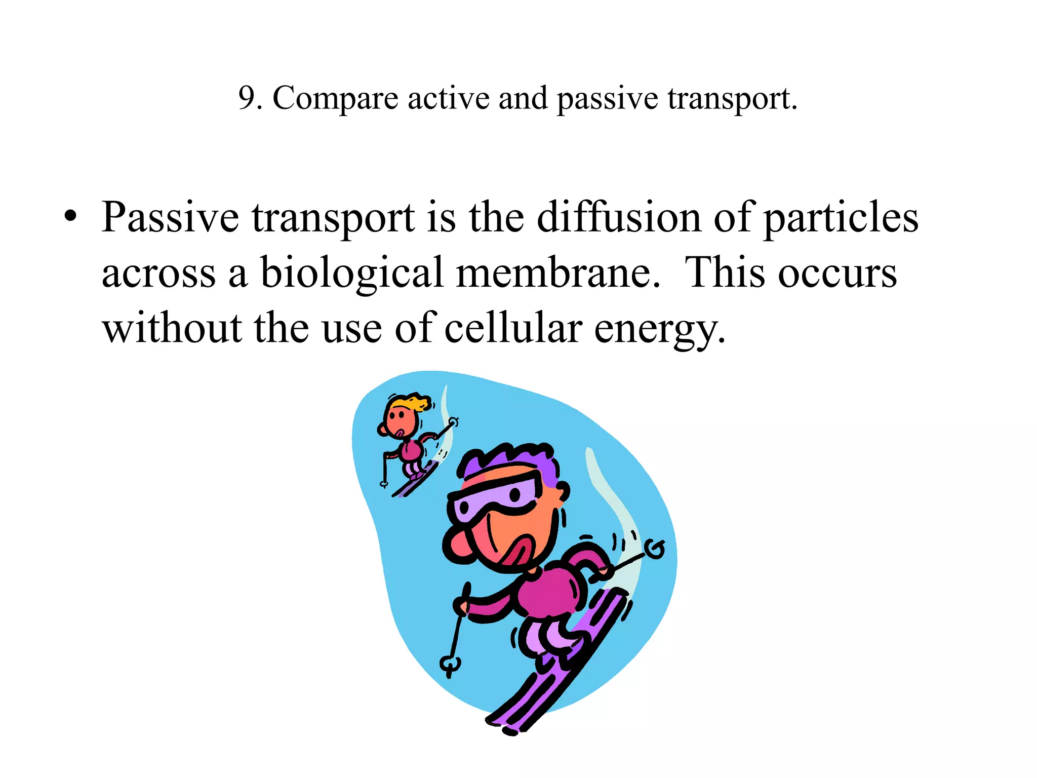 Biological membrane and transport | PDF