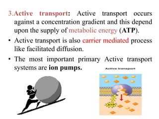Biological membrane and transport | PDF