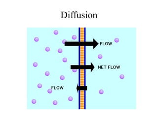 Biological membrane and transport | PDF