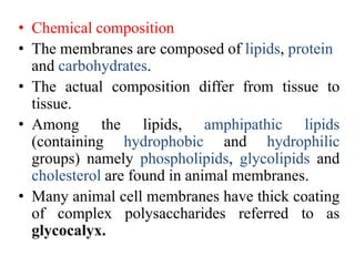 Biological membrane and transport | PDF