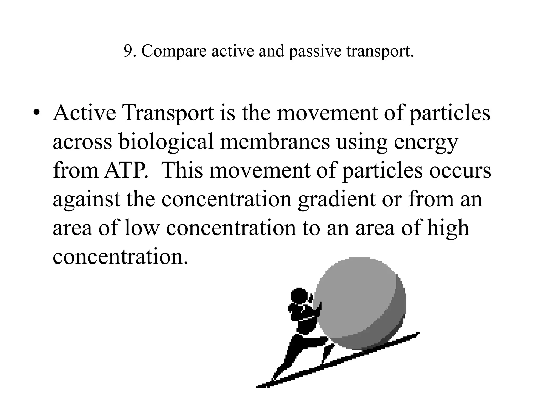 Biological membrane and transport | PDF