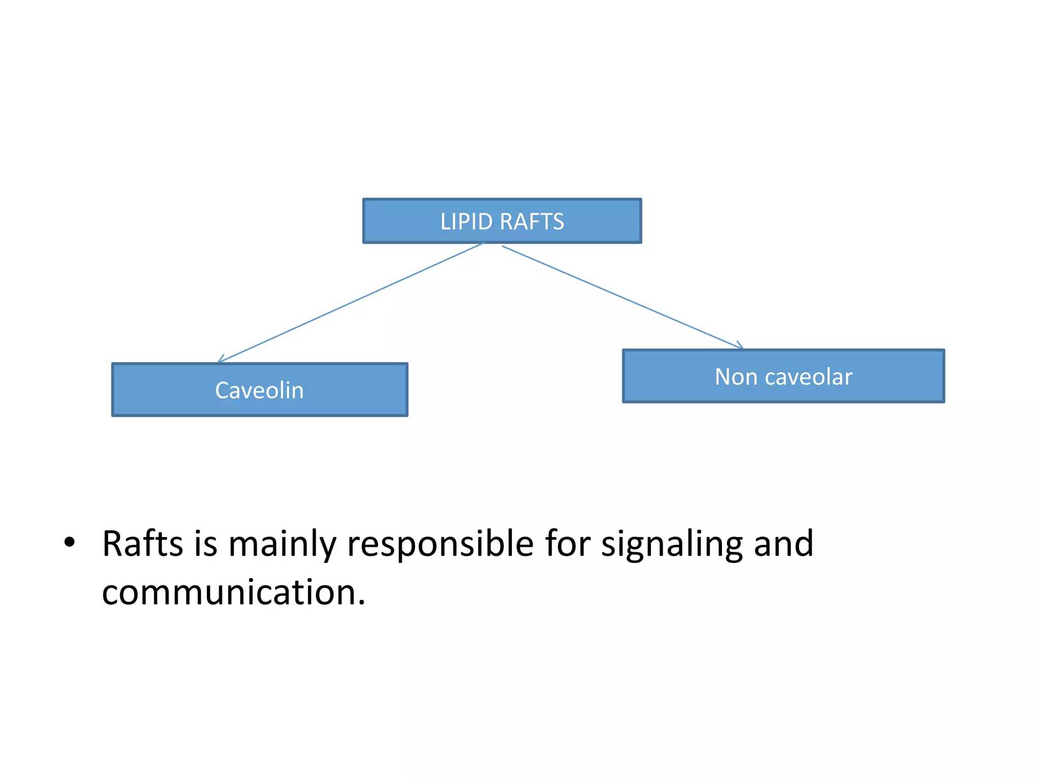 Biological membrane & its chemical composition | PPTX