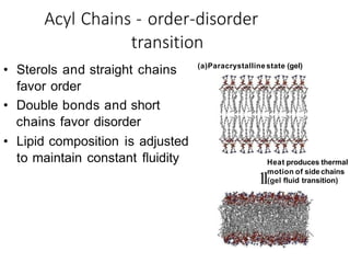 Biological Membranes powerpoint presentaions | PPT