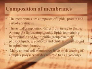Biological membranes and transport | PPTX