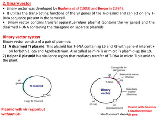 Biological method of transformation | PDF